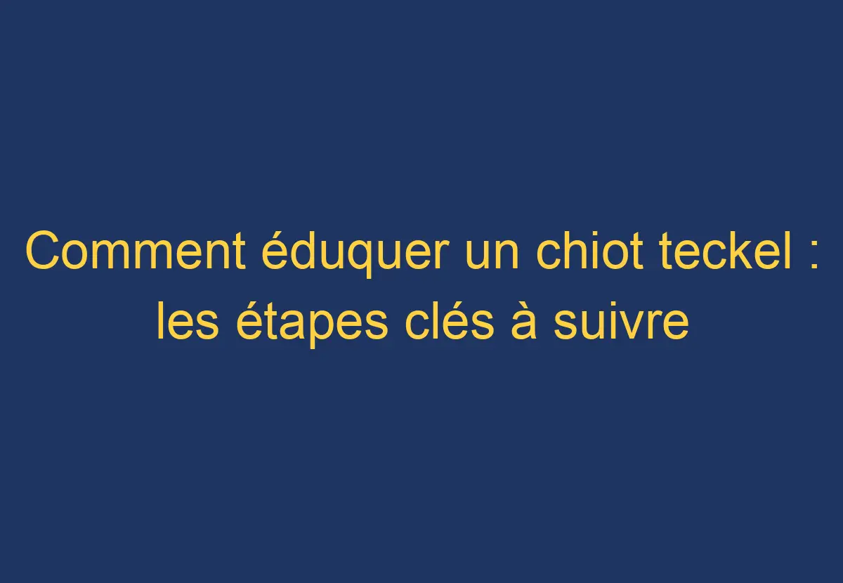 Comment éduquer un chiot teckel : les étapes clés à suivre - Chien Comment Comment éduquer un chiot teckel : les étapes clés à suivre - Chien Comment