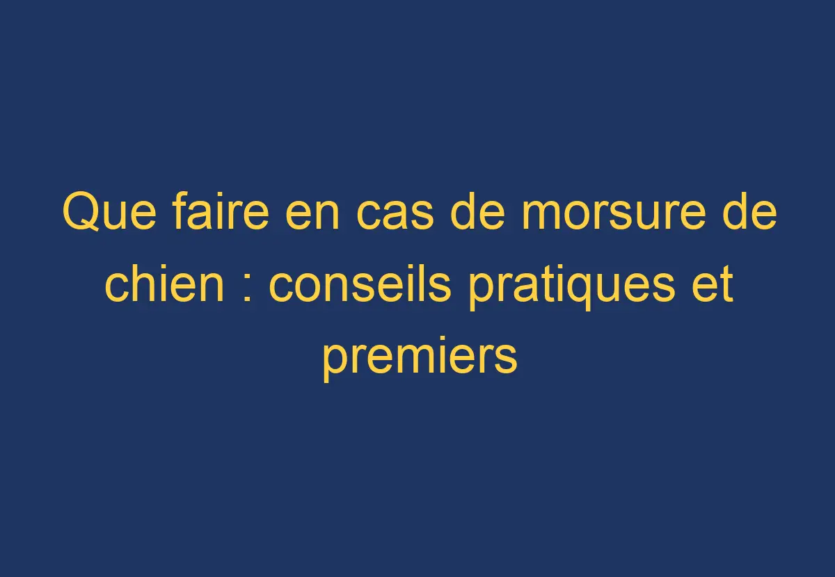 Que Faire En Cas De Morsure De Chien Conseils Pratiques Et Premiers