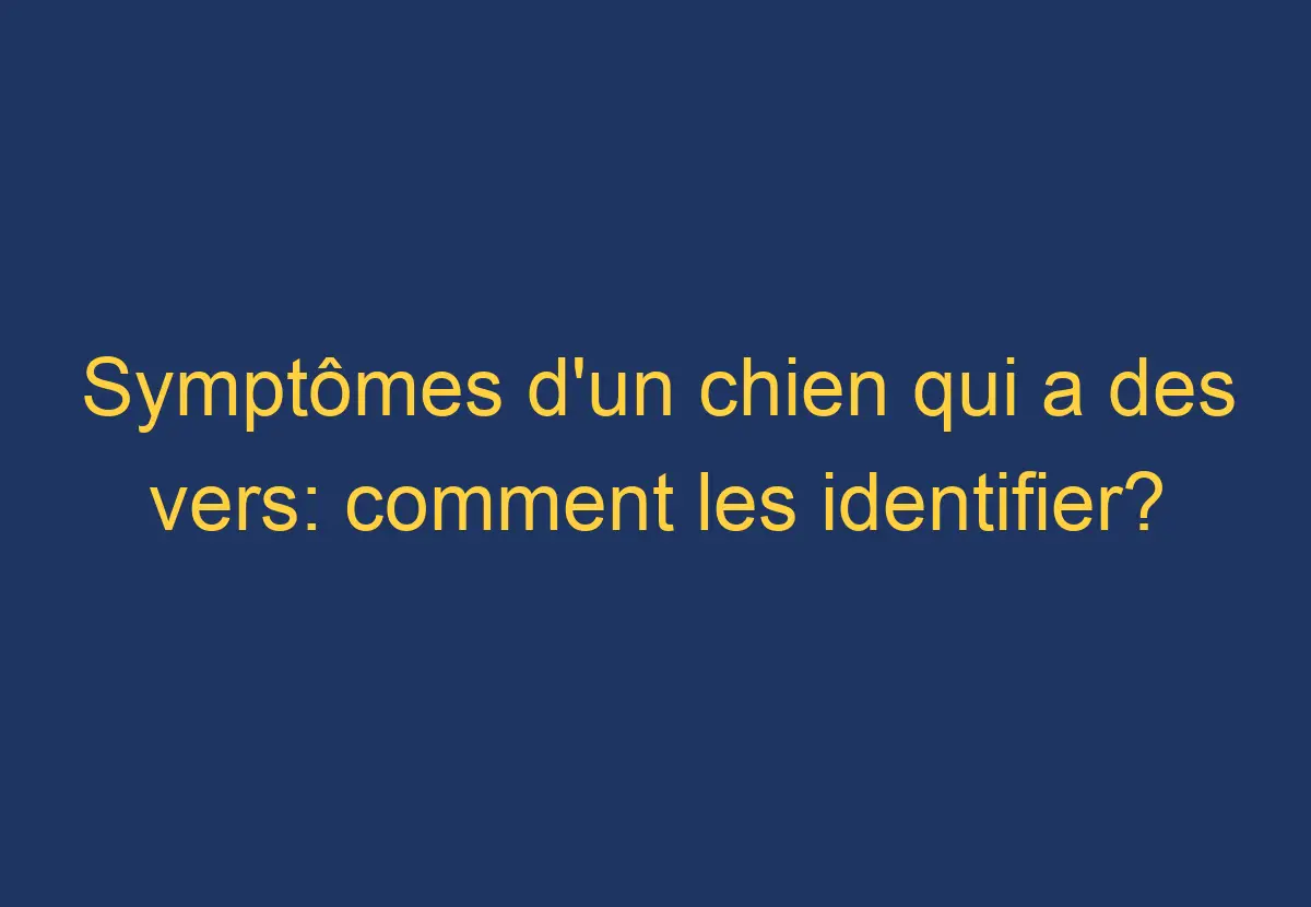 Symptômes d'un chien qui a des vers: comment les identifier?